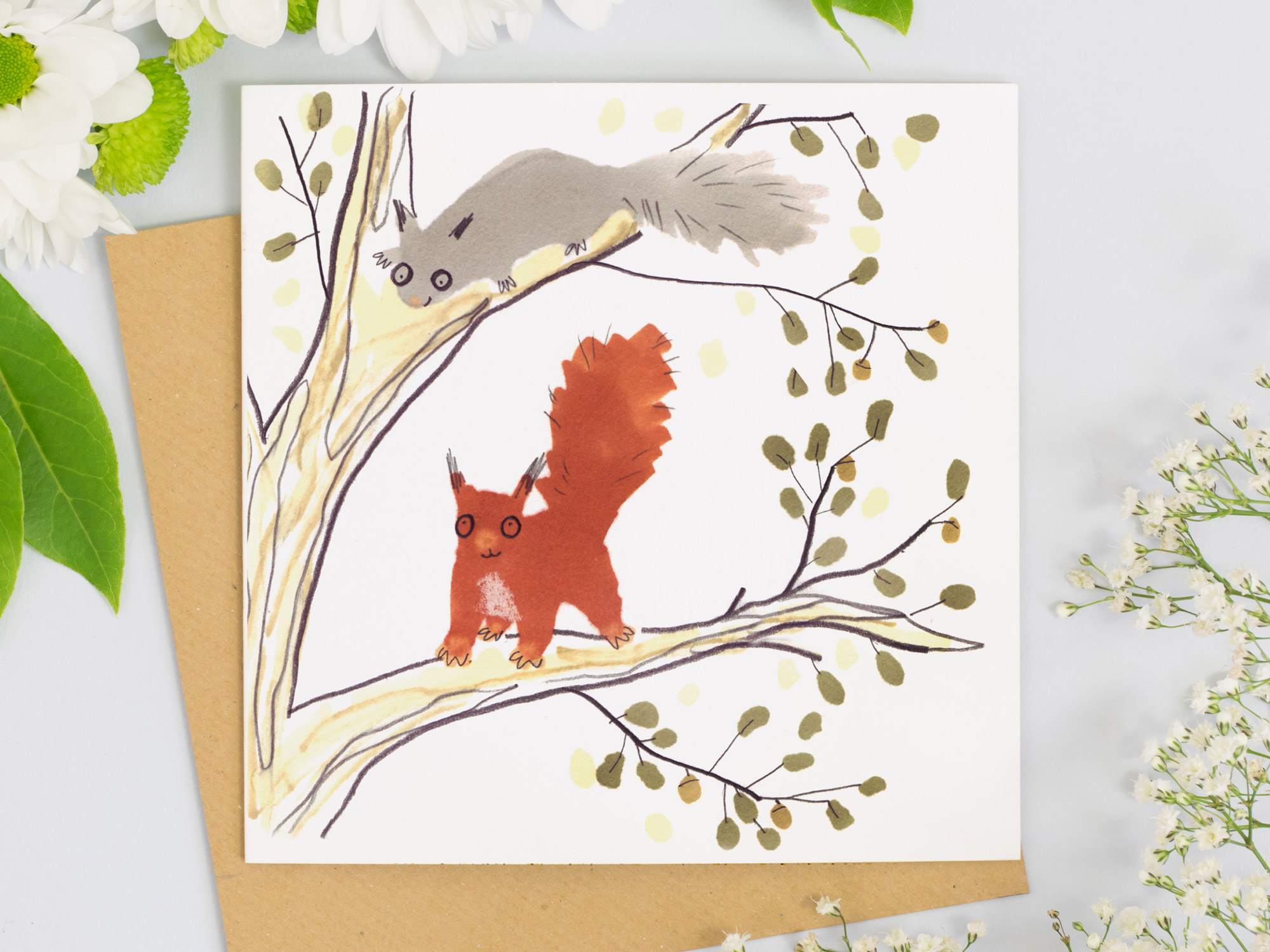 red squirrels grey squirrels birthday card living in a tree together