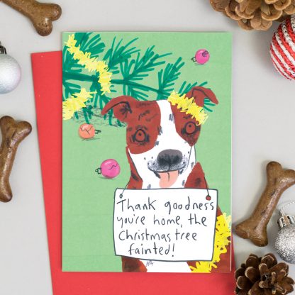 Sorry Christmas Assortment 8 Card Set - Dog Christmas Cards - Jo Clark ...
