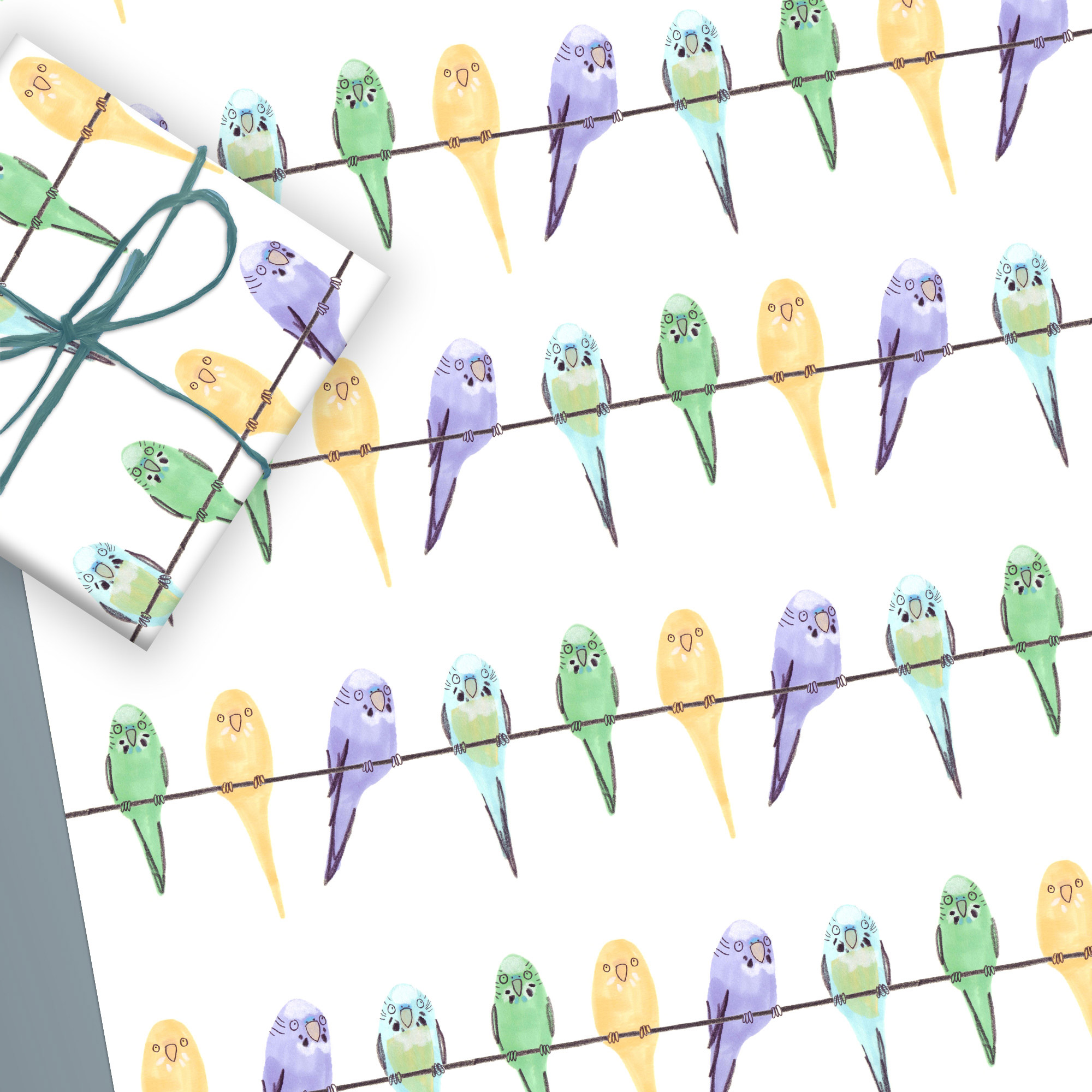 Budgies Gift Wrap Set - Jo Clark Design